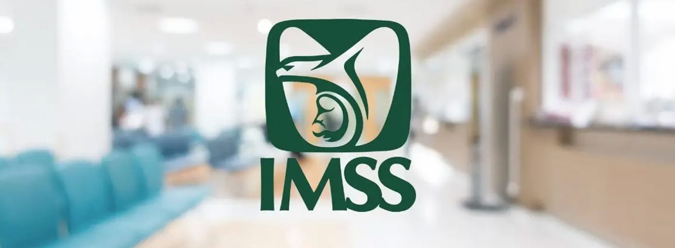 IMSS: ¿Cómo consultar mi numero semanas cotizadas por internet?
