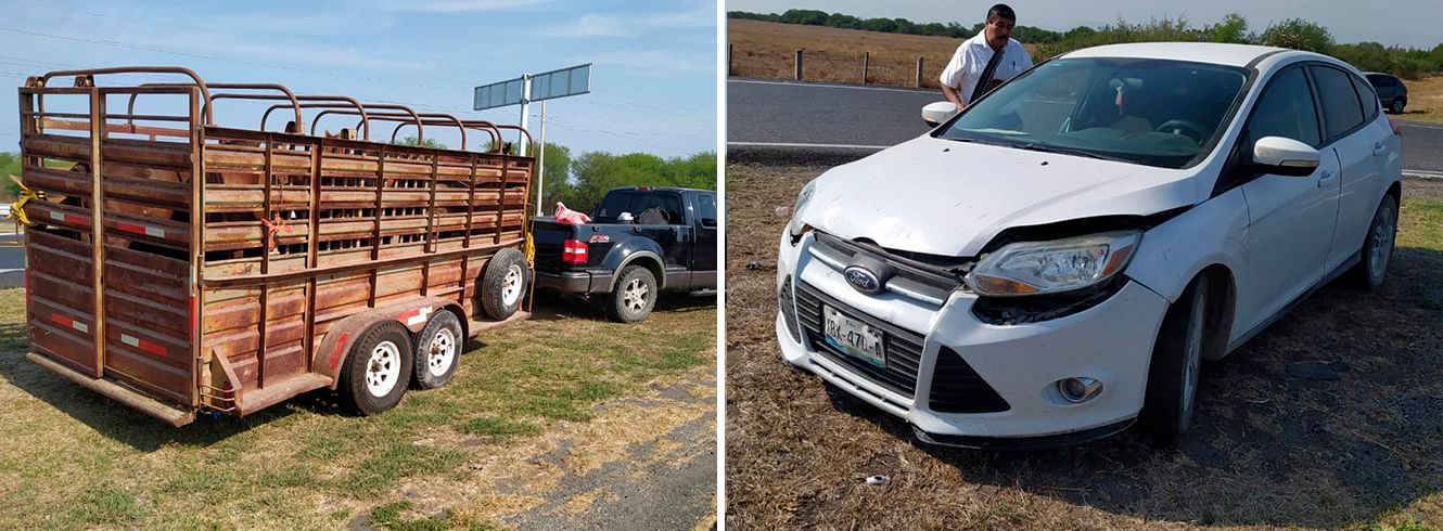 Se atraviesa ‘troca’, le chocan los caballos