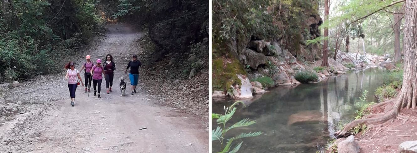 Llegan hasta 500 por día a "Los Troncones"