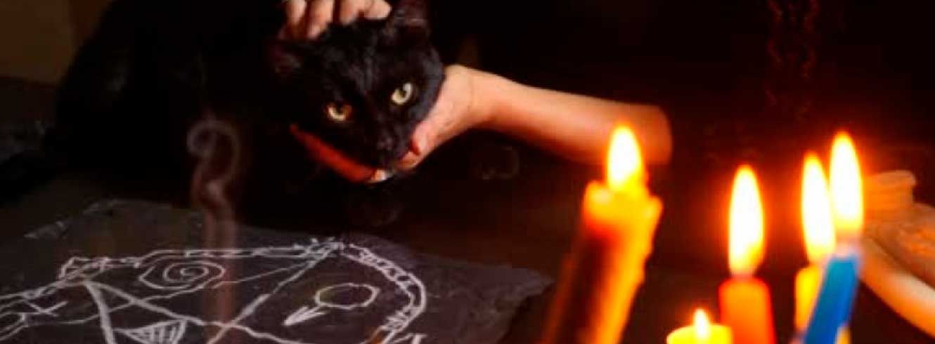 Advierten sobre sacrificios “satánicos” de gatos negros y blancos